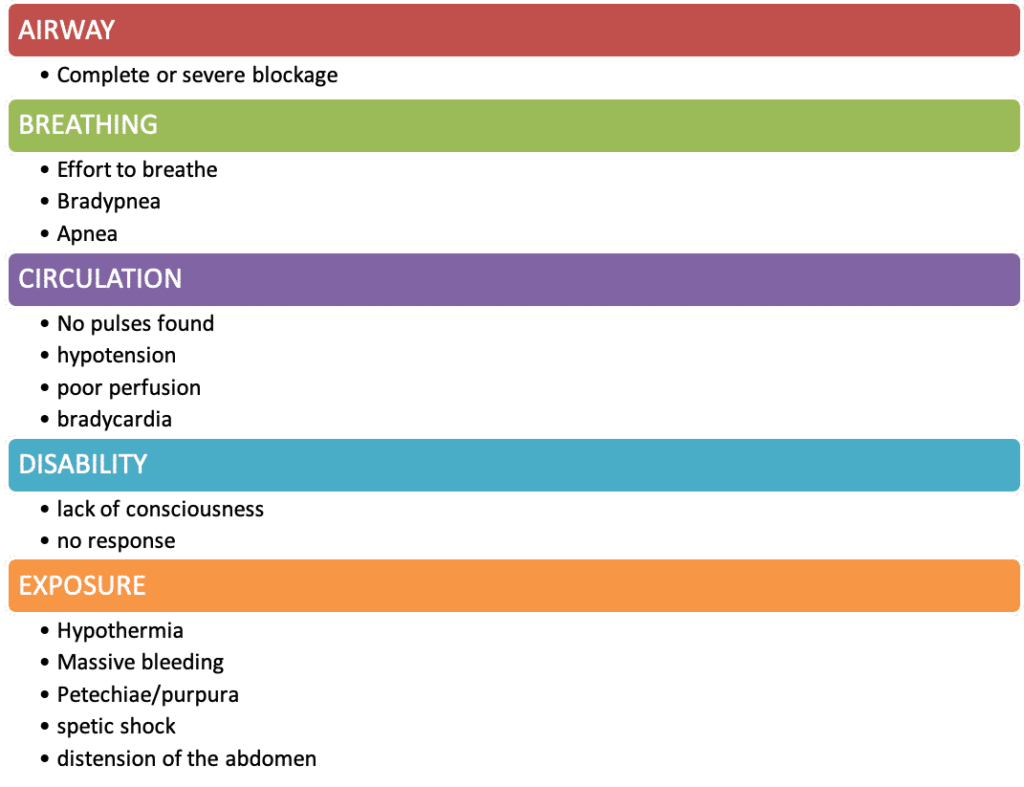 PALS Y Evaluación Pediátrica
